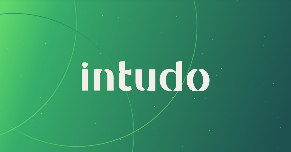 Portfolio (V2) | Intudo